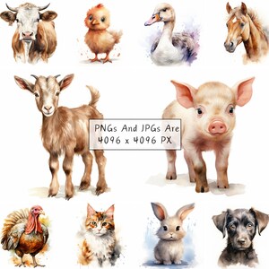 20 Cute Farm Animals, High Quality Clipart Bundle, Watercolor Pngs/jpgs ...