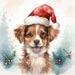 10 Cute Watercolor Christmas Animals, Christmas Clipart Bundle, 11 Baby ...