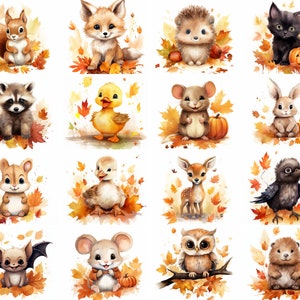 93 Watercolor Fall Animals Bundle, Cute Baby Animals, Woodland Animals ...
