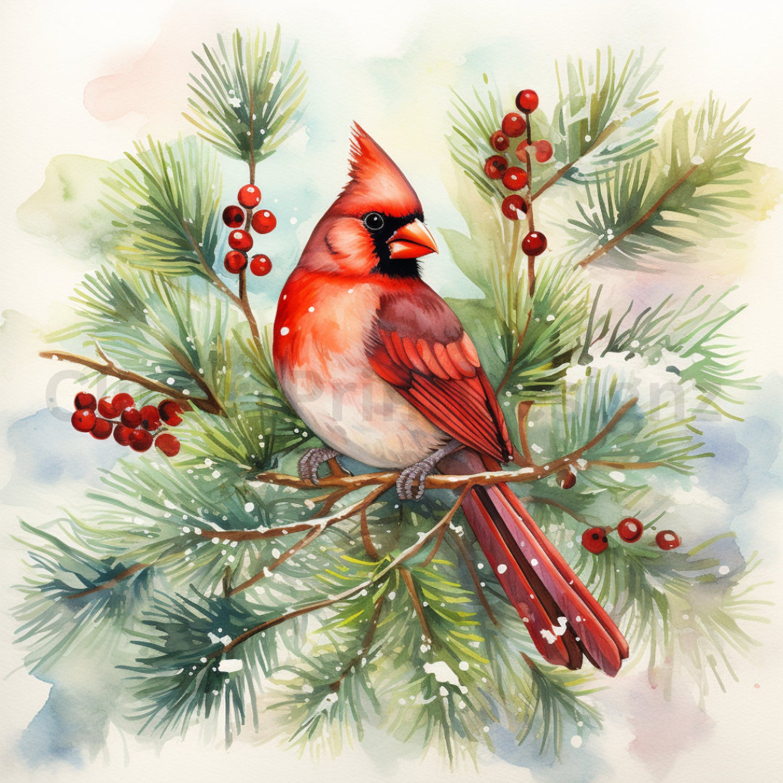 10 Cute Red Christmas Cardinals, High Quality Clipart Bundle, Digital ...