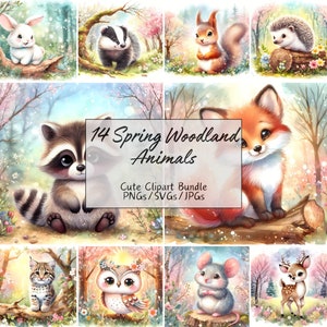 Cute Watercolor Spring Woodland Animals Clipart Bundle, 14 High Quality ...