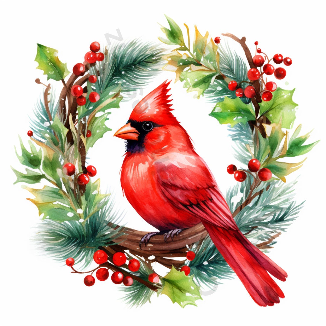10 Cute Red Christmas Cardinals, High Quality Clipart Bundle, Digital ...