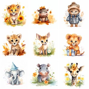 Mega Baby Safari Animals Clipart Watercolor Nursery Bundle - Etsy