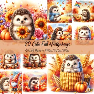 Cute Fall Hedgehogs Clipart Bundle, Watercolor Autumn Hedgehog Clip Art ...