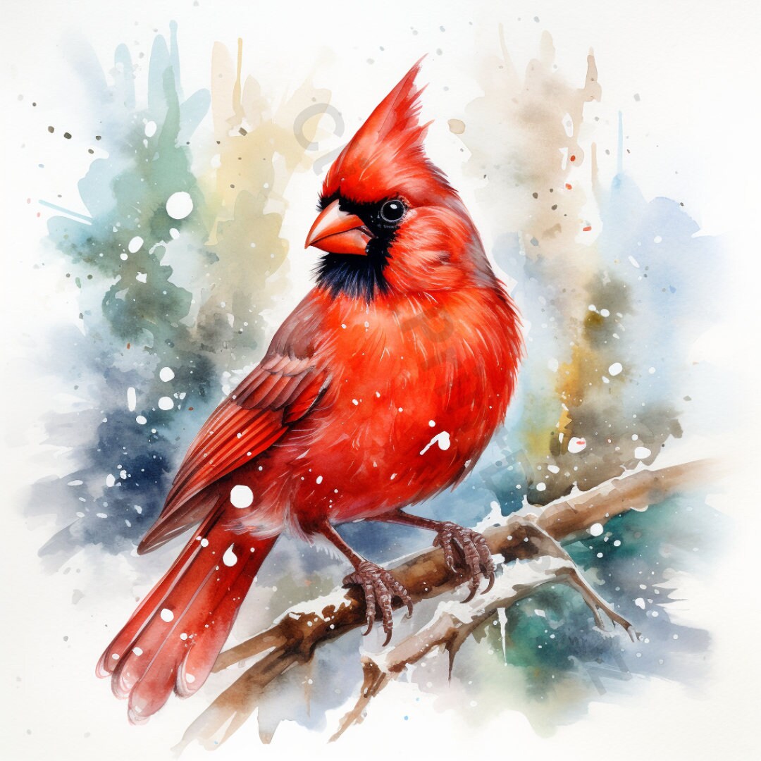 11 Cute Christmas Red Cardinals, High Quality Clipart Bundle ...