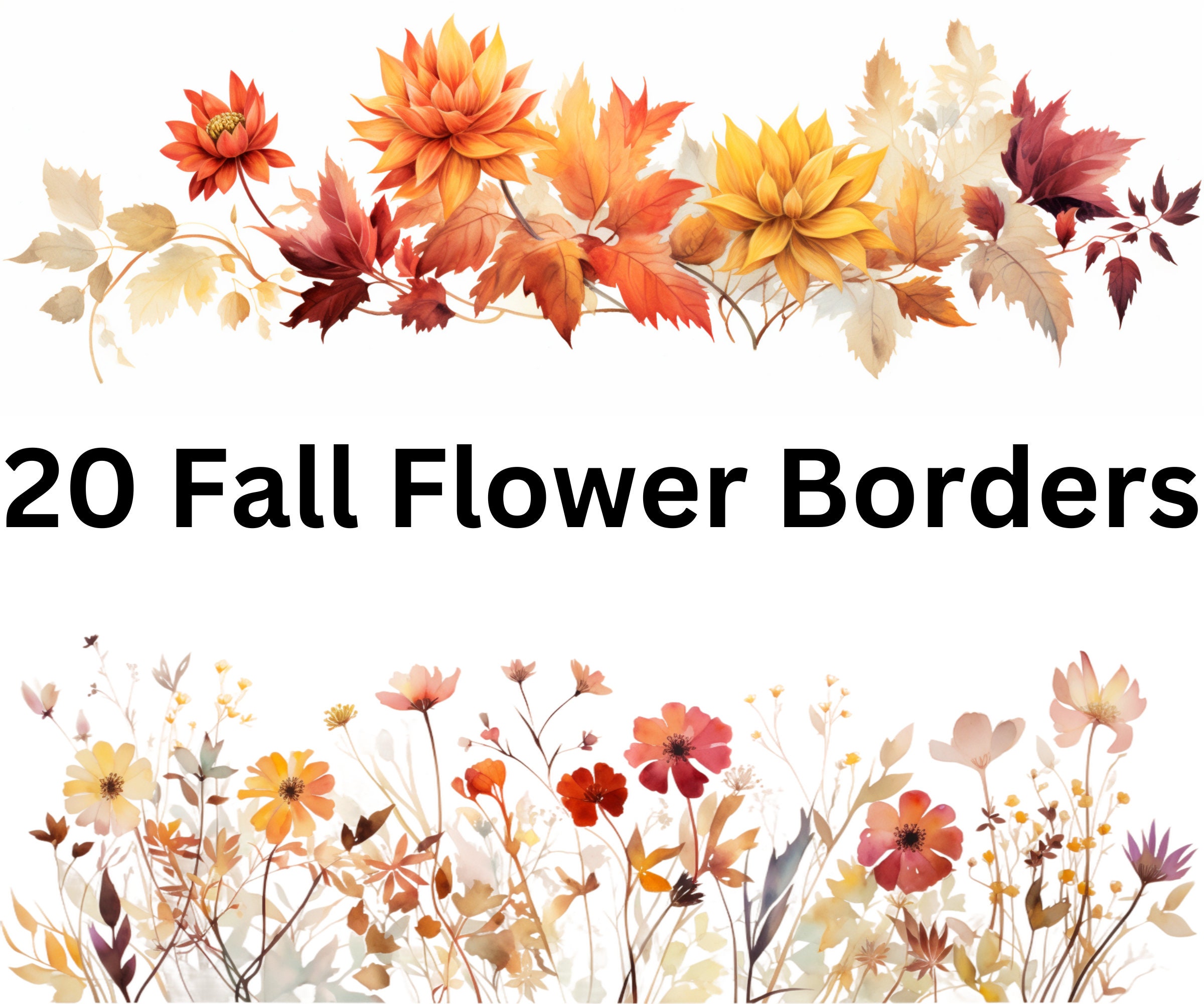 Watercolor Fall Flower Borders, 20 Pngs/jpgs/svgs, Autumn Flowers ...