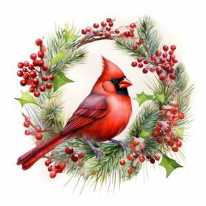 11 Cute Christmas Red Cardinals, High Quality Clipart Bundle ...
