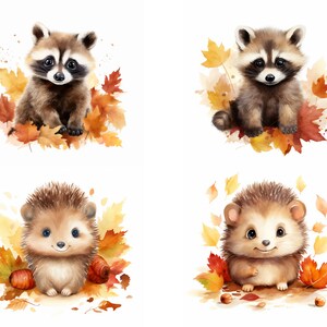 Watercolor Baby Fall Animals Clipart Bundle, 32 Cute Woodland Animals ...