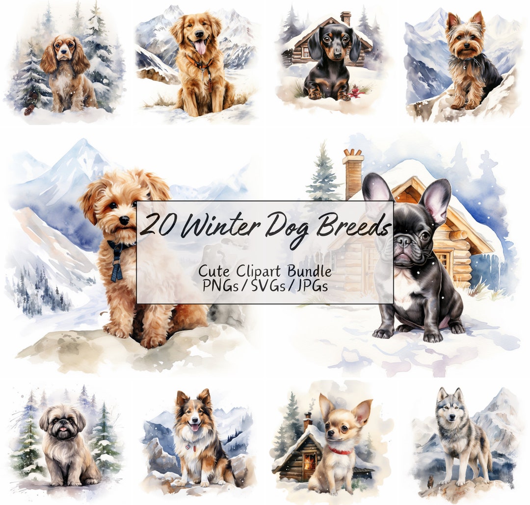 20 Cute Winer Dog Breeds, Watercolor Clipart Bundle, High Quality Pngs ...