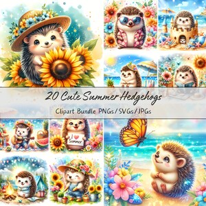 Cute Summer Hedgehogs Clipart Bundle, Watercolor Hedgehog Clip Art ...