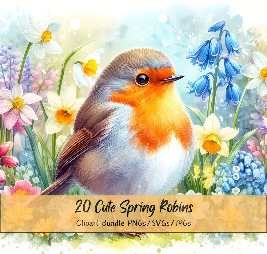 Cute Spring Robins Clipart Bundle, Watercolor Clip Art Images, 20 High ...