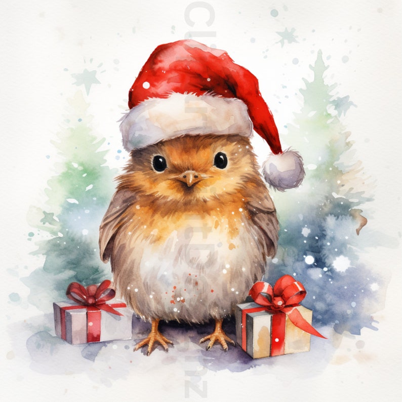 12 Cute Watercolor Christmas Robins, Christmas Clipart Bundle, 12 Baby ...