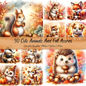 Cute Animals and Fall Acorns, Clipart Bundle, Watercolor Animal Clip ...