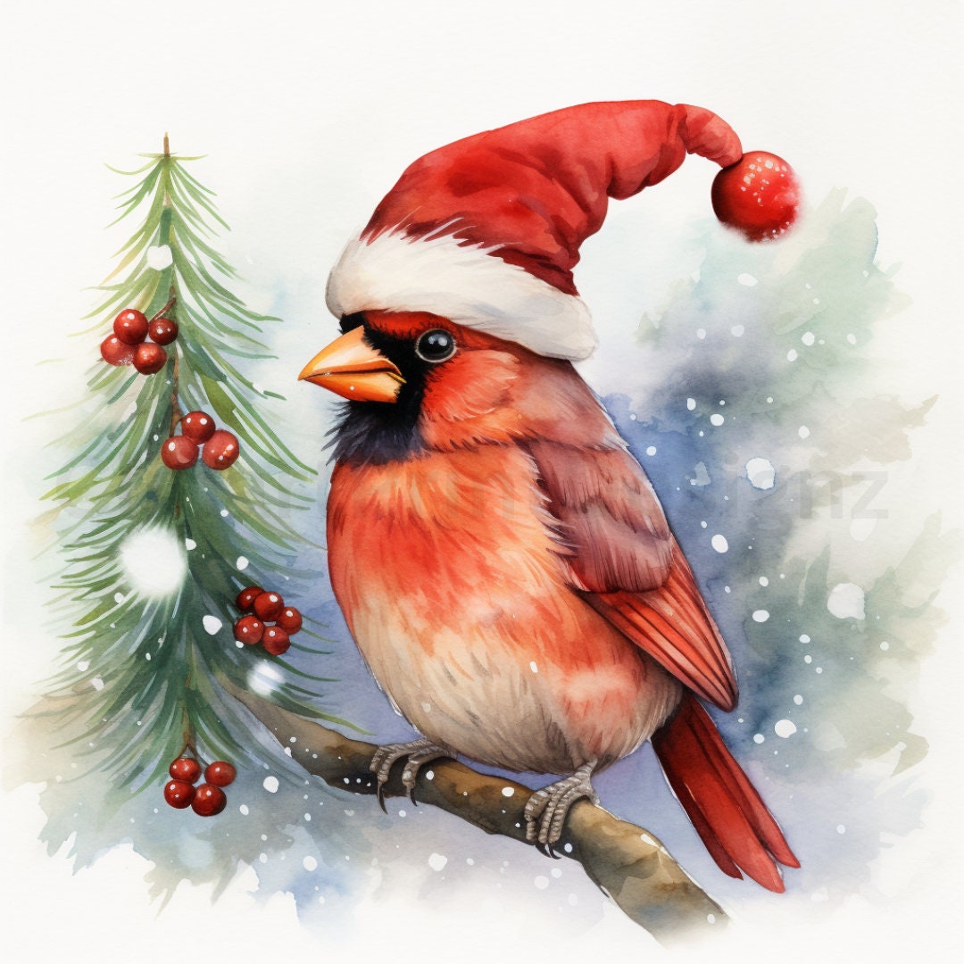 11 Cute Christmas Red Cardinals, High Quality Clipart Bundle ...