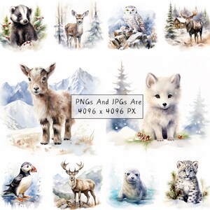 20 Cute Baby Winter Animals Clipart Bundle, Watercolor Animals, Digital ...