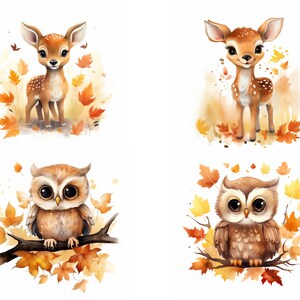 Watercolor Baby Fall Animals Clipart Bundle, 32 Cute Woodland Animals ...