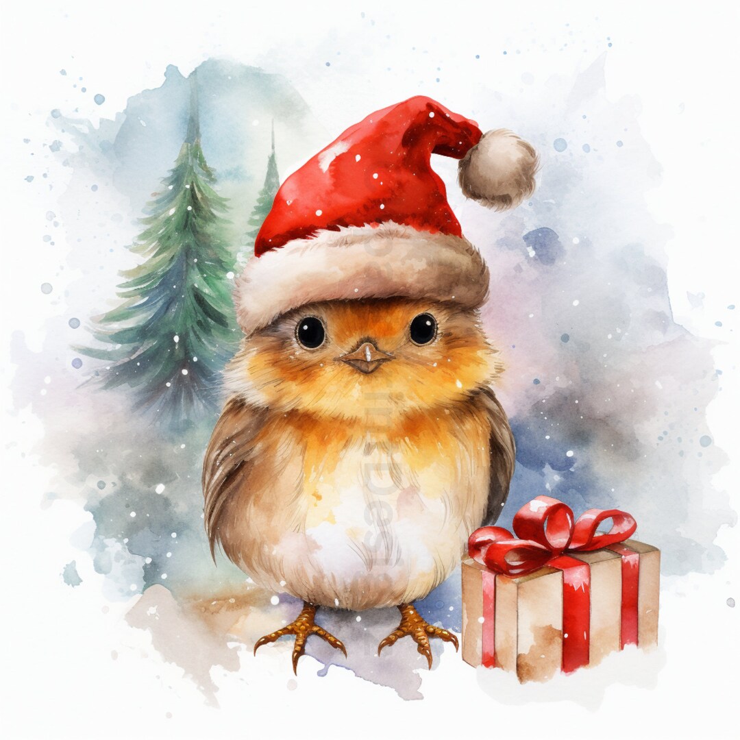 12 Cute Watercolor Christmas Robins, Christmas Clipart Bundle, 12 Baby ...