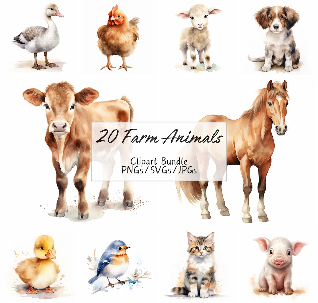 20 Cute Farm Animals, High Quality Clipart Bundle, Watercolor Pngs/jpgs ...