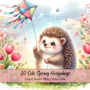 Cute Spring Hedgehogs Clipart Bundle, Watercolor Clip Art Images, 20 ...