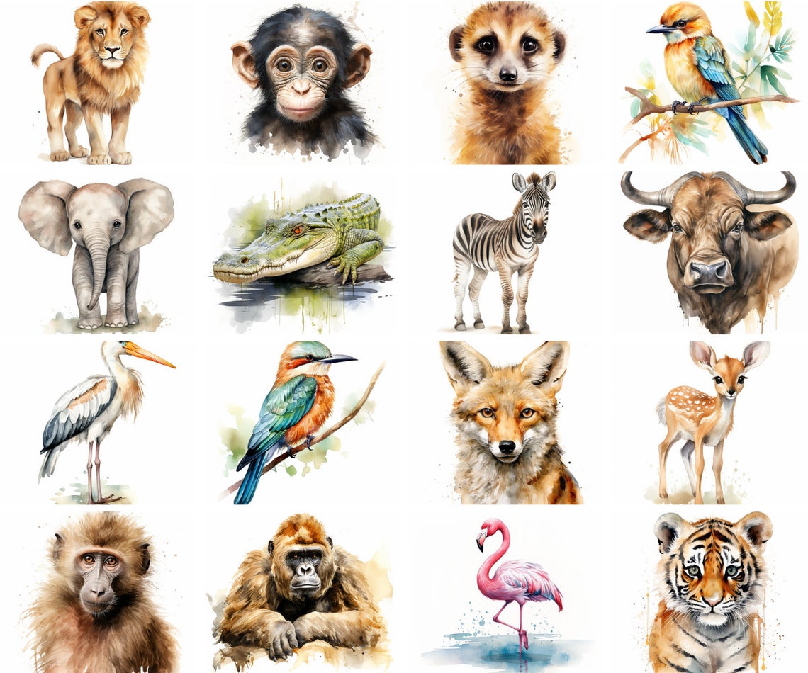 100 Watercolor Safari Animals Clipart Bundle Cute Baby Safari - Etsy