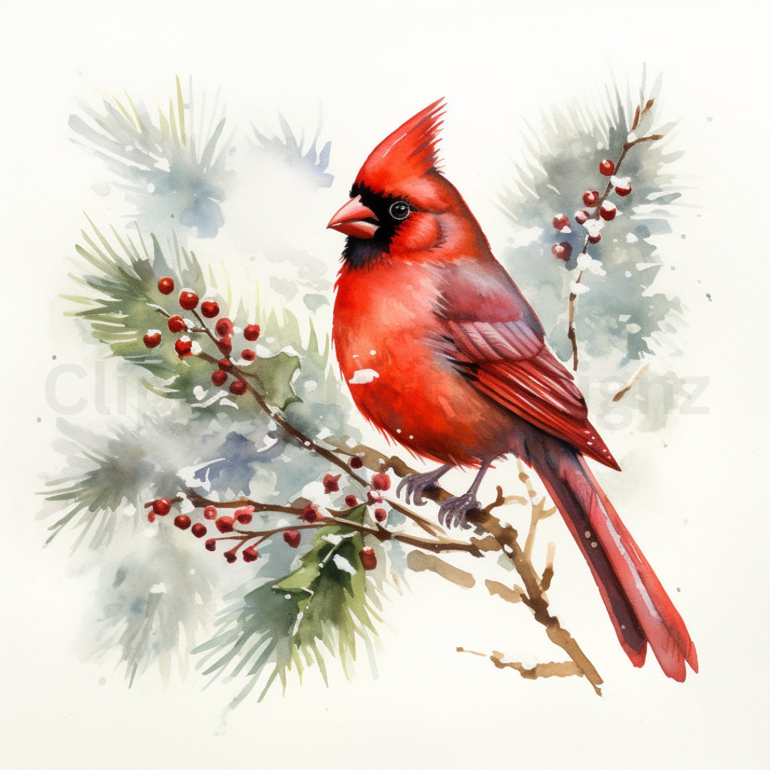 10 Cute Red Christmas Cardinals, High Quality Clipart Bundle, Digital ...