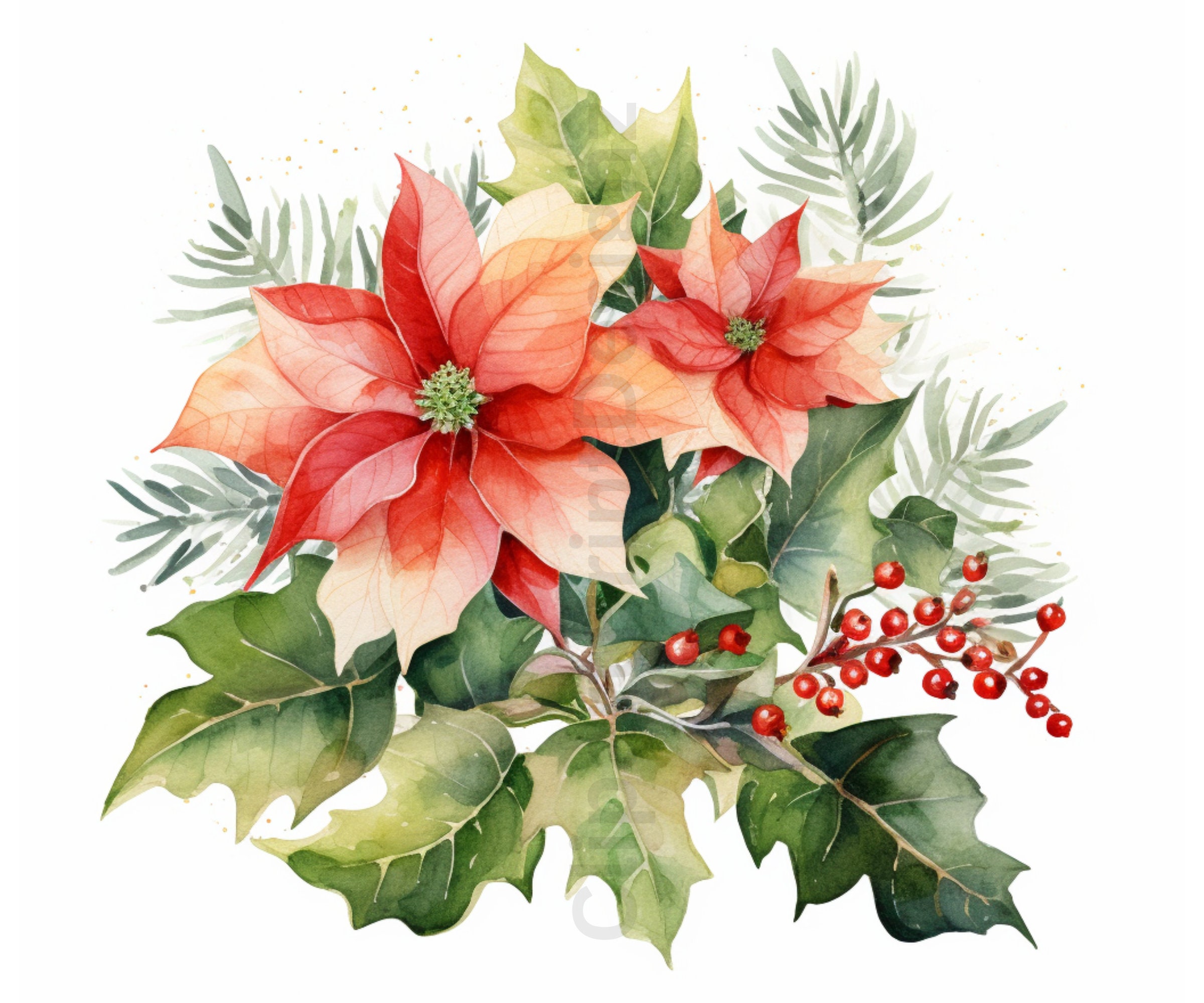 Watercolor Christmas Flowers Clipart, 20 High Quality Images, Christmas ...