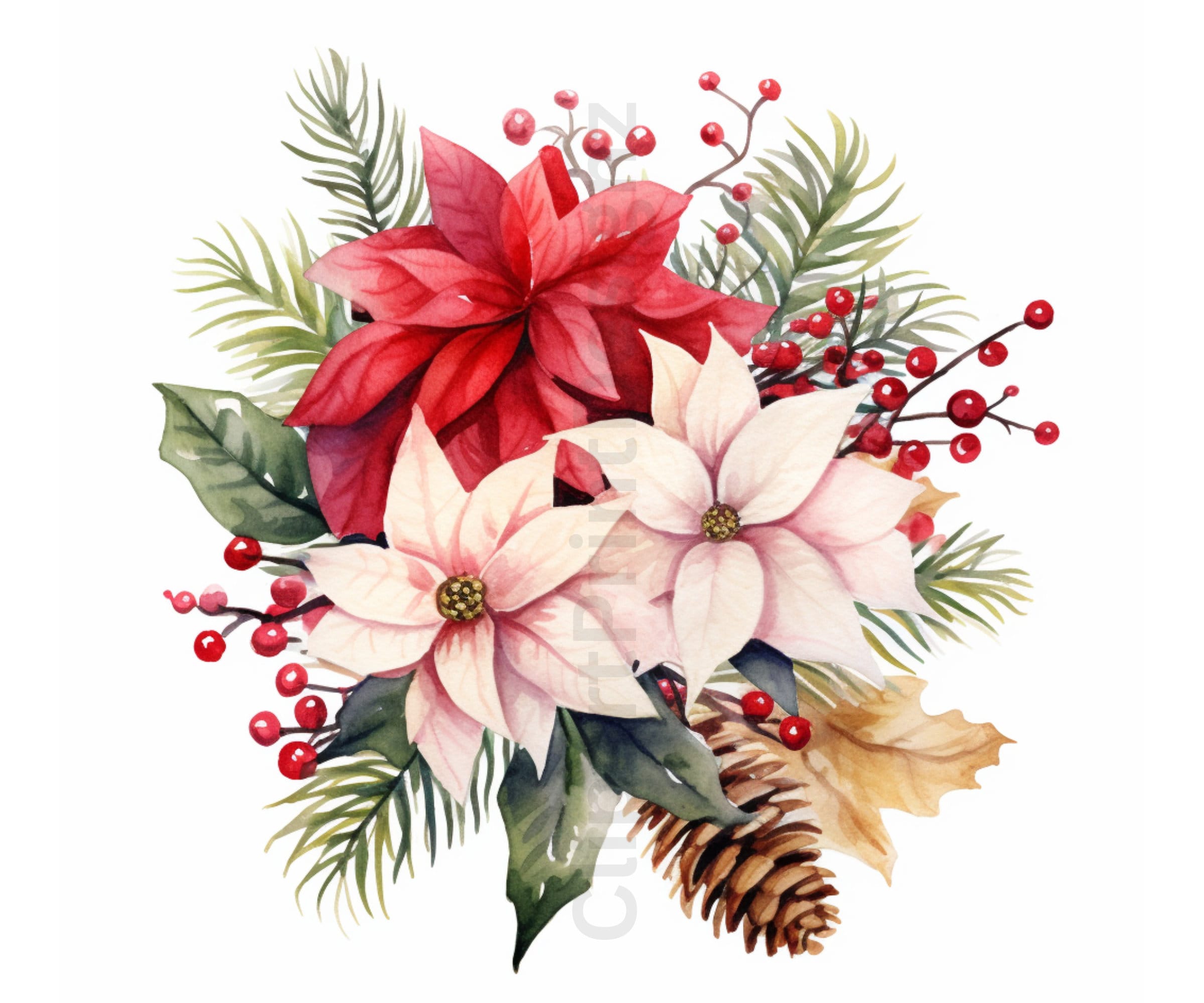 Watercolor Christmas Flowers Clipart 20 High Quality Images - Etsy