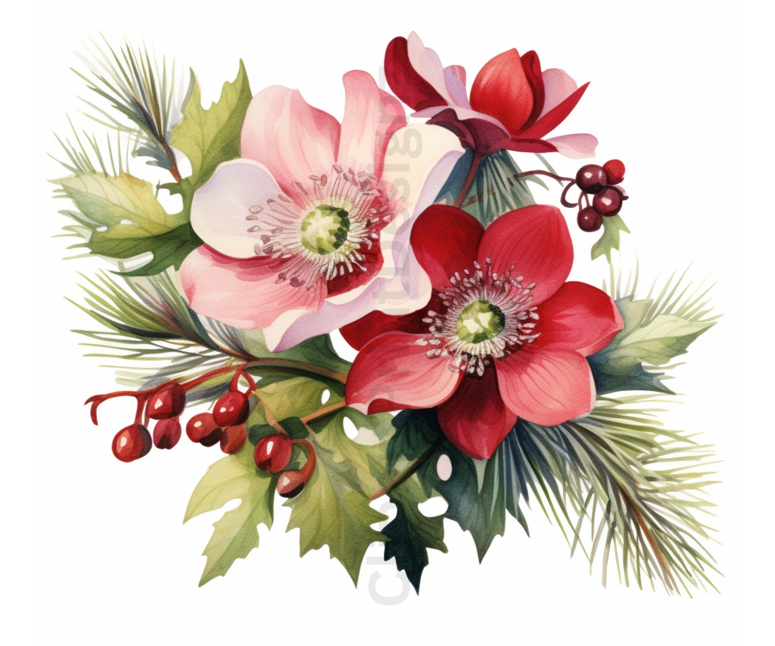 Watercolor Christmas Flowers Clipart, 20 High Quality Images, Christmas ...