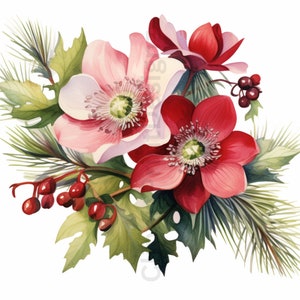 Watercolor Christmas Flowers Clipart, 20 High Quality Images, Christmas ...