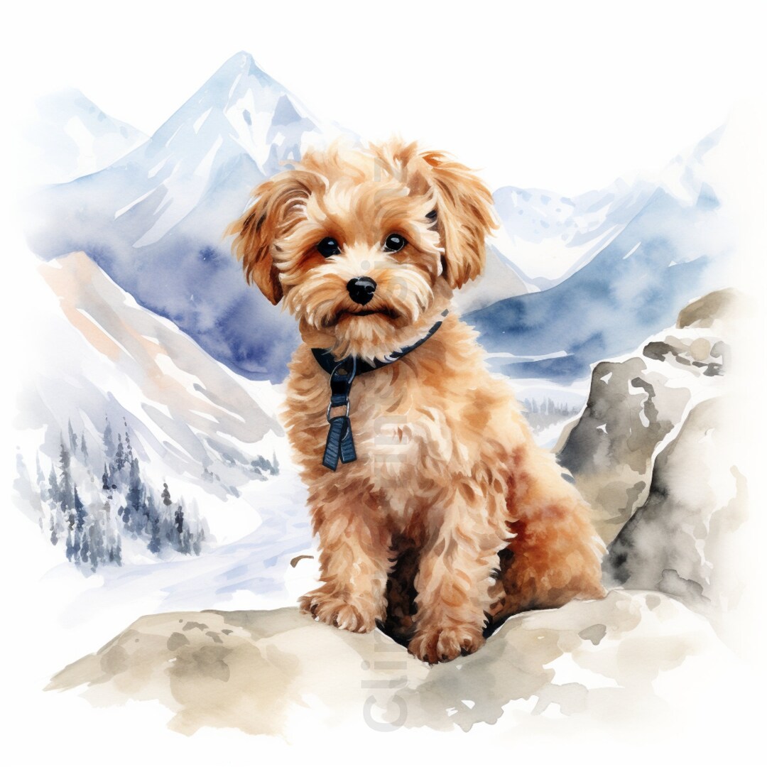 20 Cute Winer Dog Breeds, Watercolor Clipart Bundle, High Quality Pngs ...
