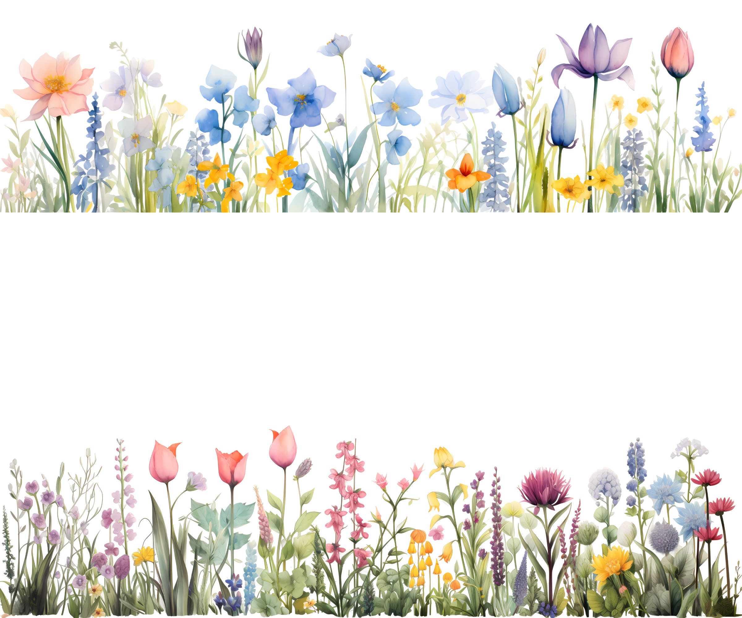Watercolor Spring Flower Borders, Clipart Bundle, 20 High Quality Pngs ...