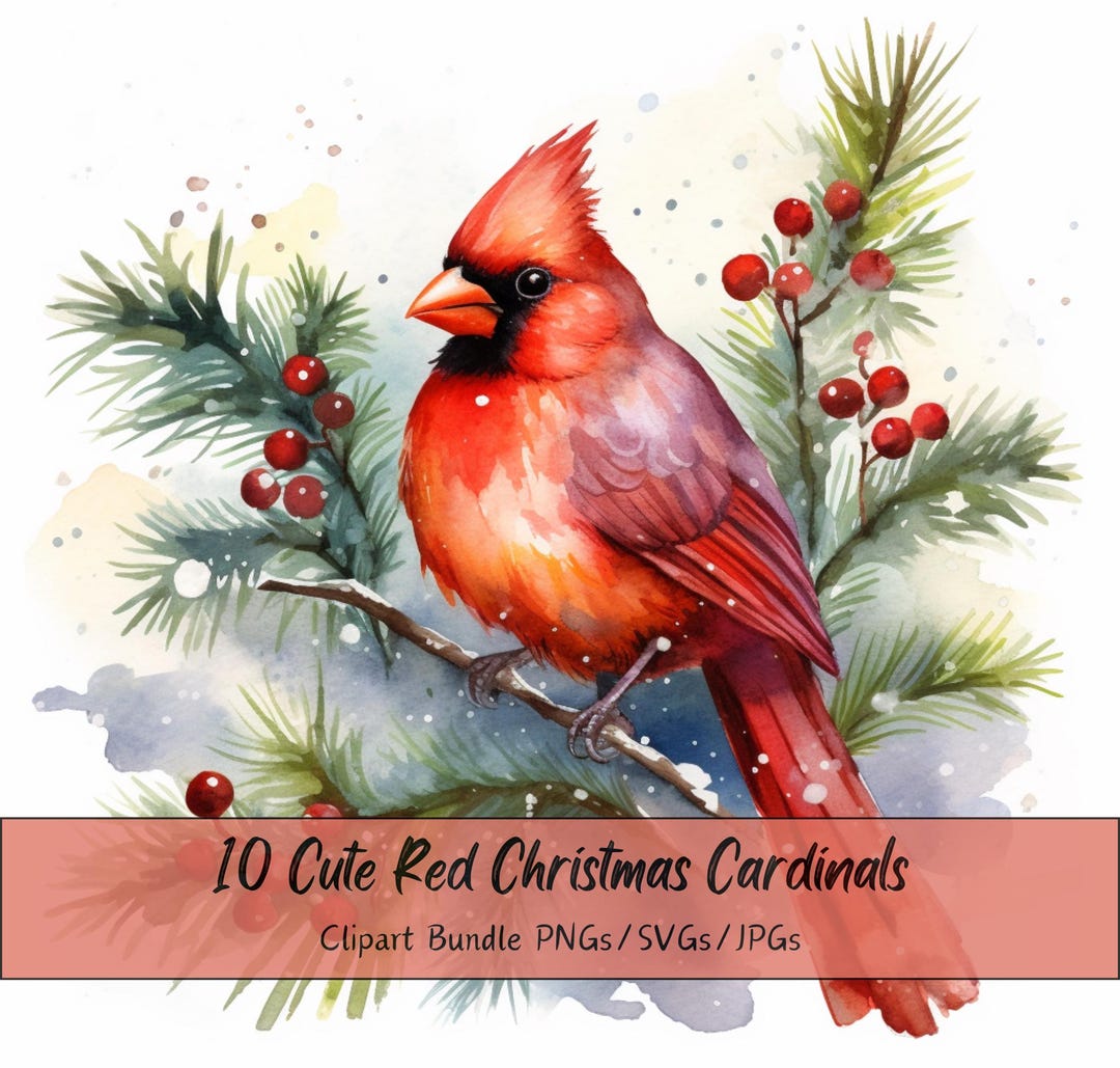 10 Cute Red Christmas Cardinals, High Quality Clipart Bundle, Digital ...
