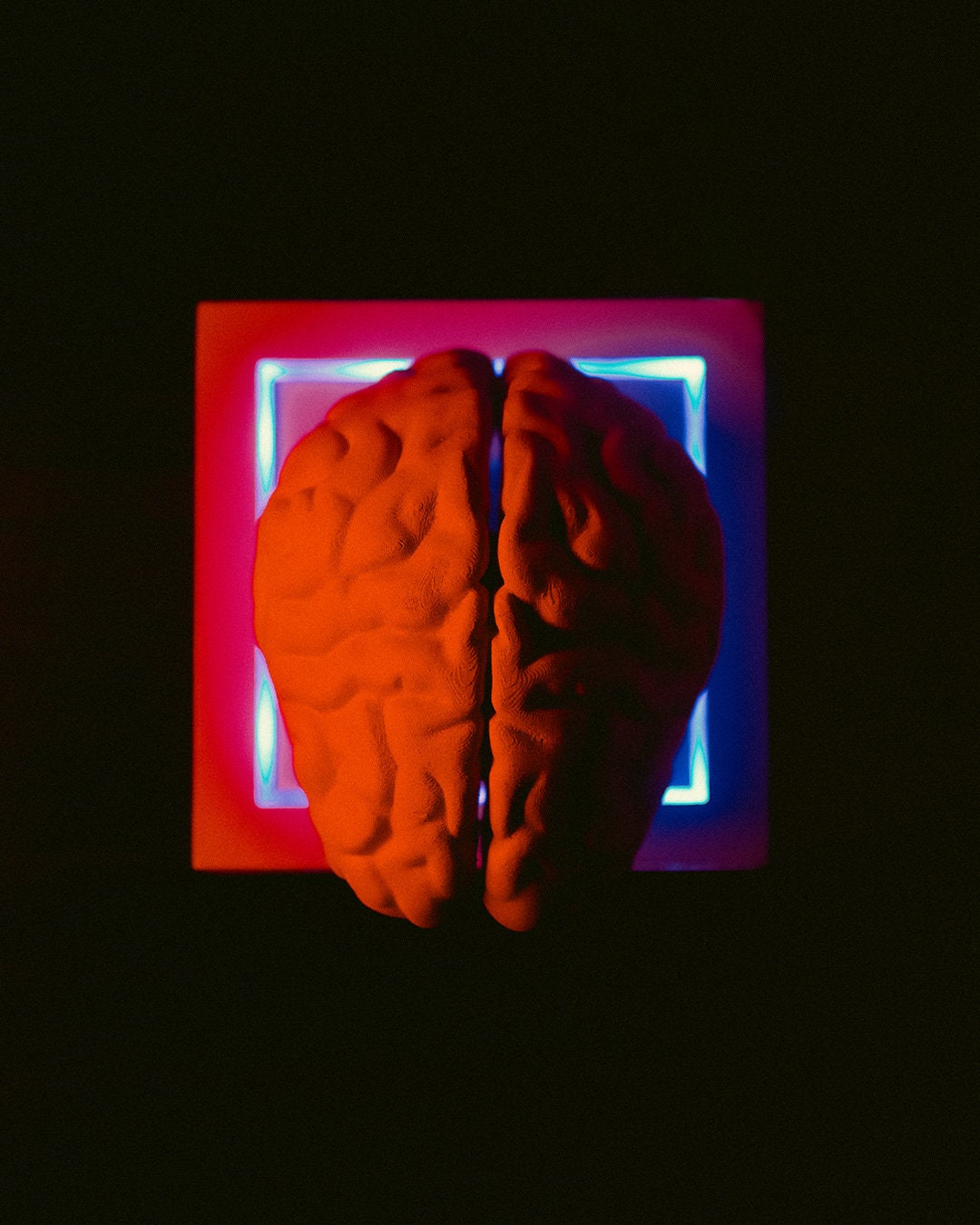 Neuronova 3D LED Brain Lamp - Etsy