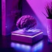 Neuronova 3D LED Brain Lamp - Etsy