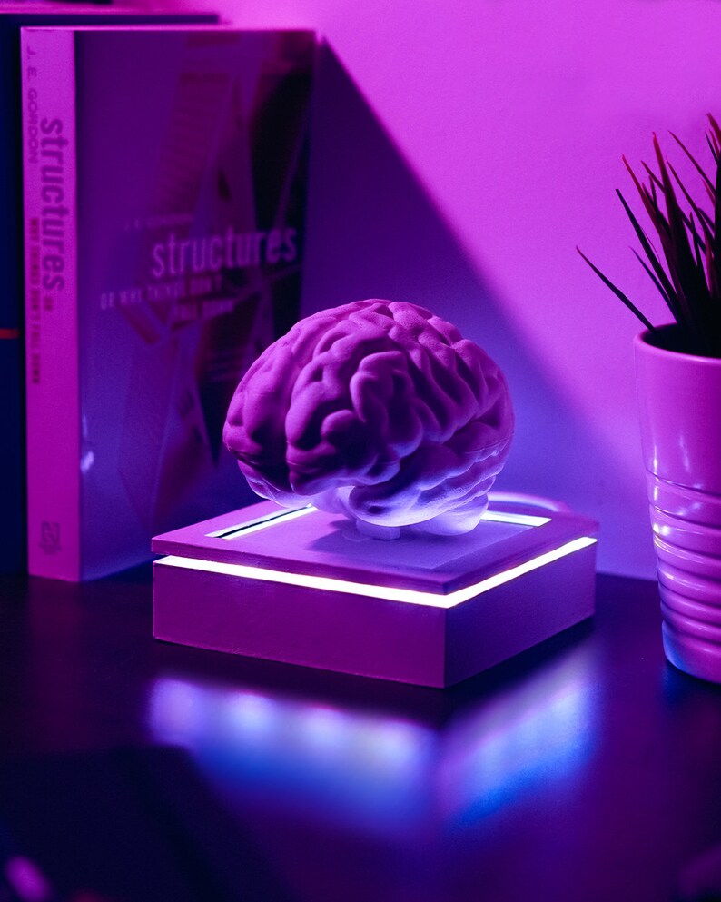 Neuronova 3D LED Brain Lamp - Etsy
