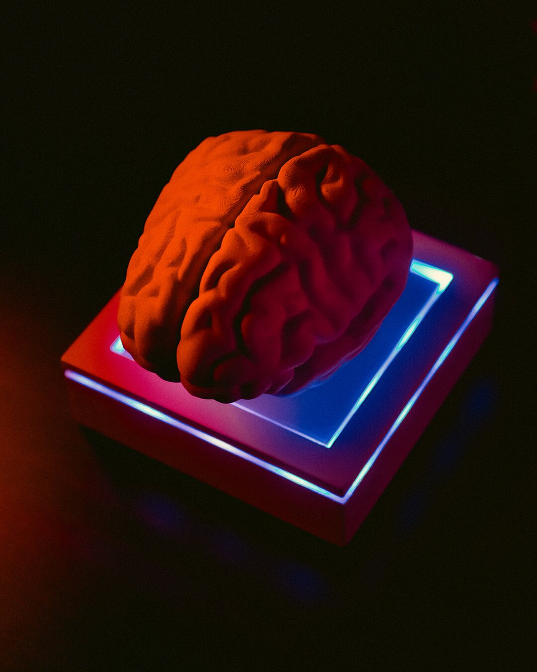 Neuronova 3D LED Brain Lamp - Etsy
