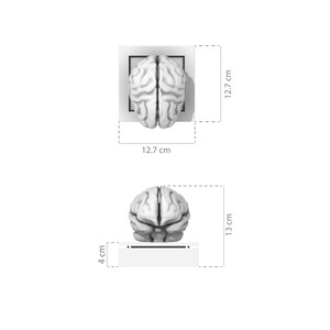 Neuronova 3D LED Brain Lamp - Etsy