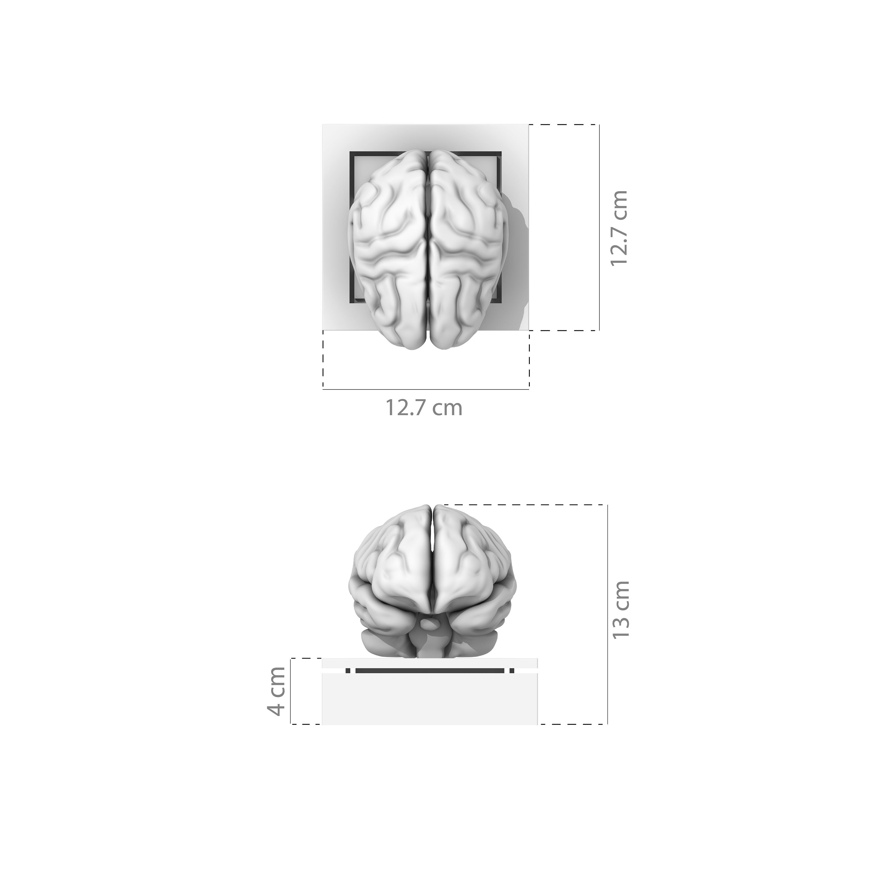 Neuronova 3D LED Brain Lamp - Etsy