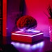 Neuronova 3D LED Brain Lamp - Etsy