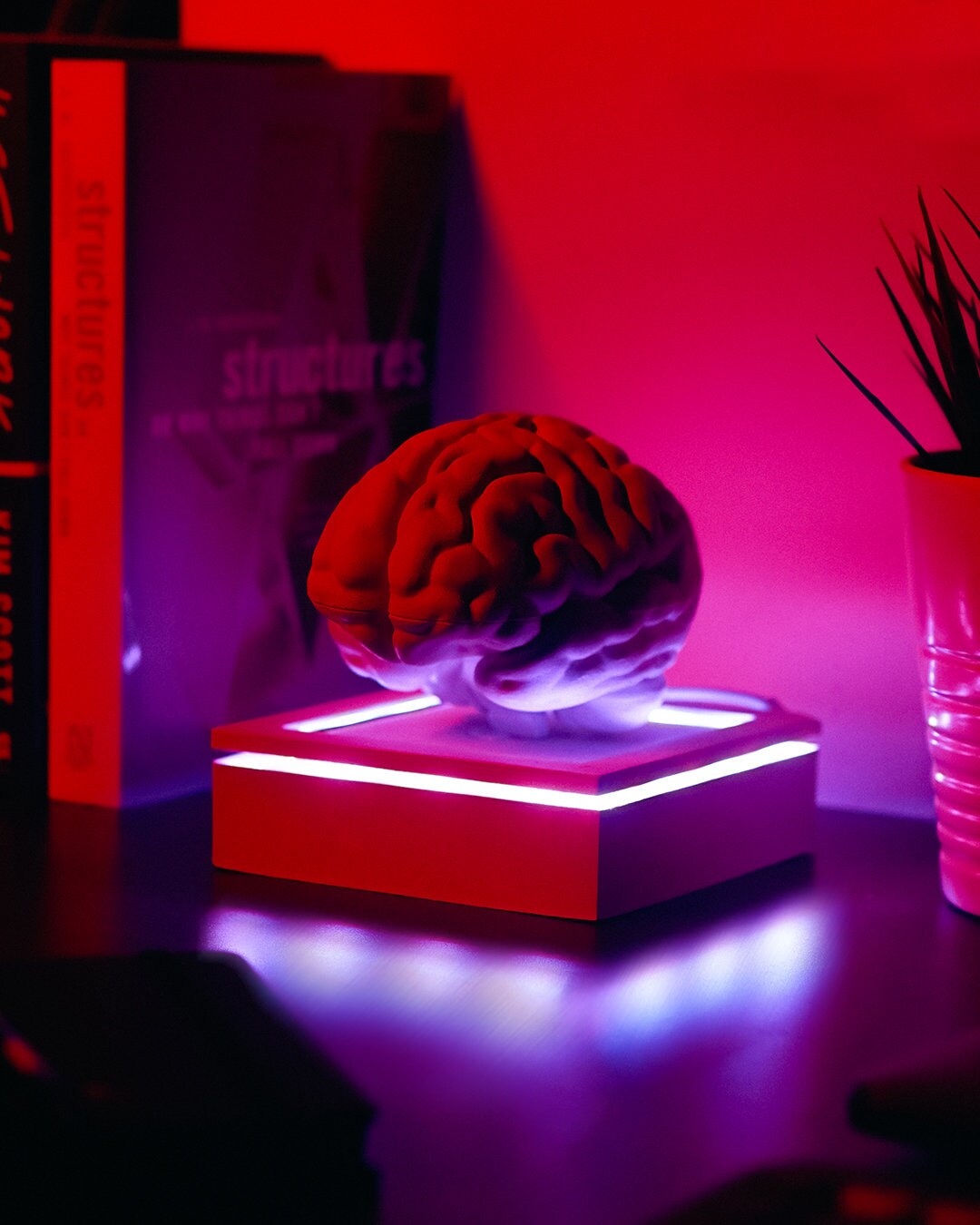 Neuronova 3D LED Brain Lamp - Etsy