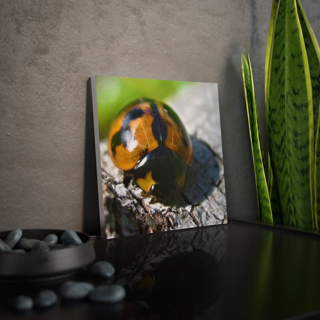 Canvas Print, Ladybug Macro Photo Tile, Home Decor, Nature Art, Wall ...