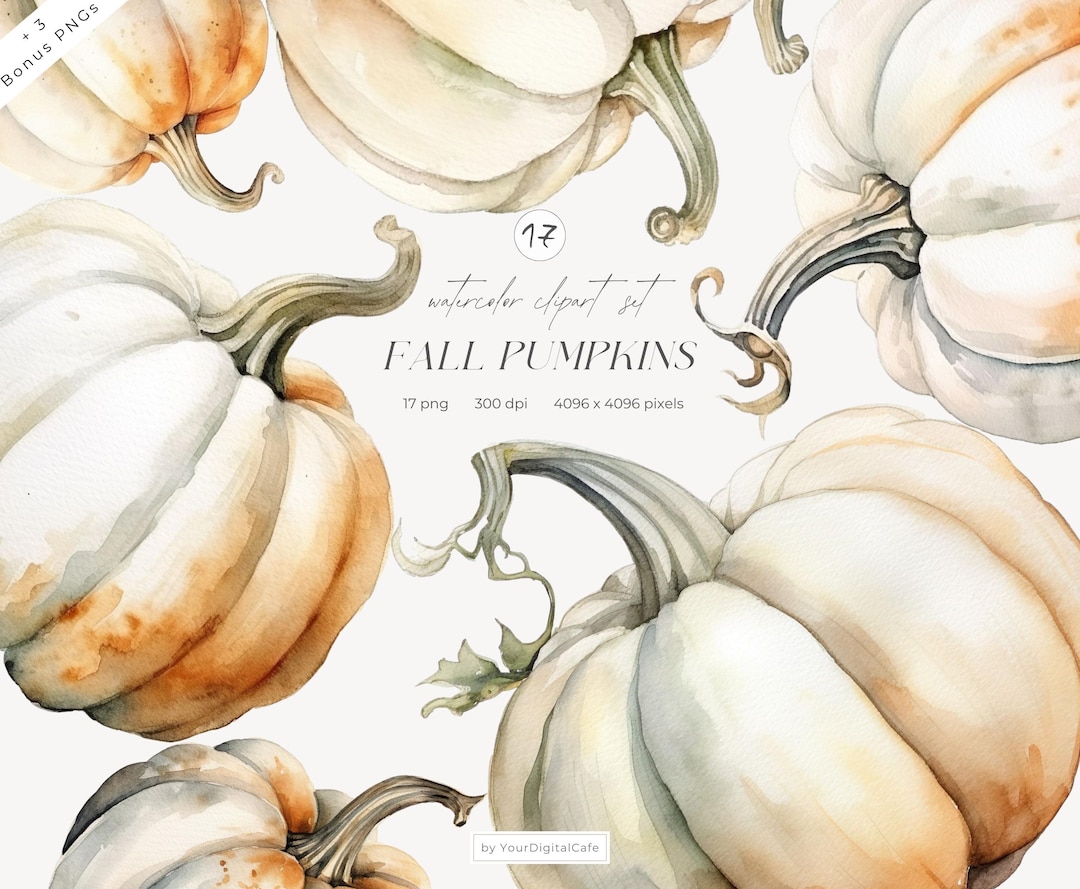 Watercolor Fall Pumpkins Clipart: Neutral Autumn Pumpkin PNG ...