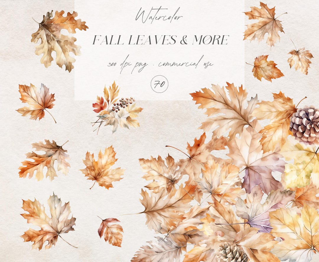 Watercolor Fall Leaves Clipart Bundle, Autumn Leaf Graphics PNG, Fall ...