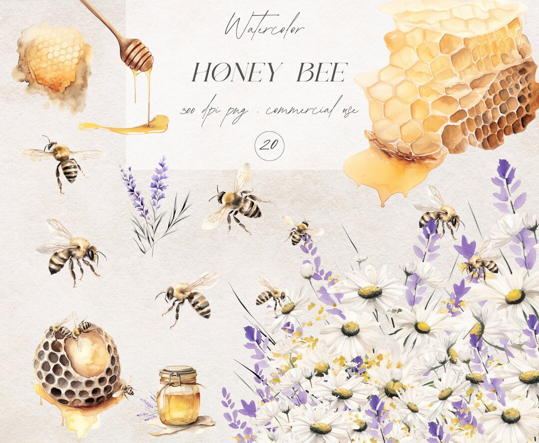 Watercolor Honey Bee Clipart, Floral Clipart, Bees PNG, Spring Flowers ...