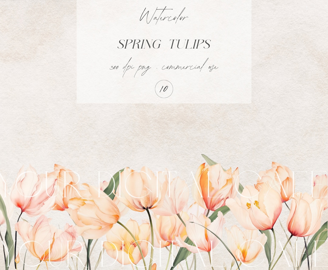 Watercolor Tulips Clipart Tulips Clipart Spring Clipart Spring Tulips ...