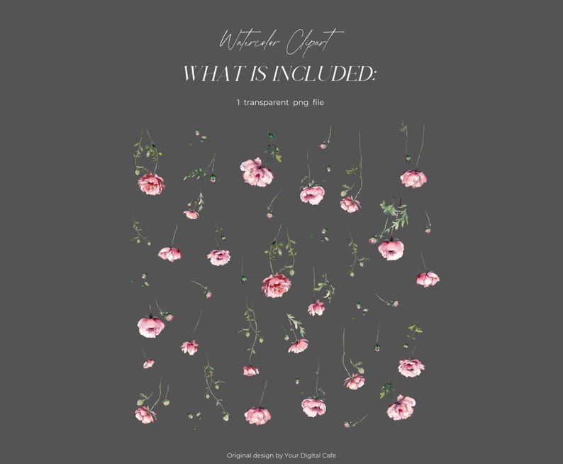 Dusty Rose Rain Clipart: Falling Roses Background, Watercolor Floral ...