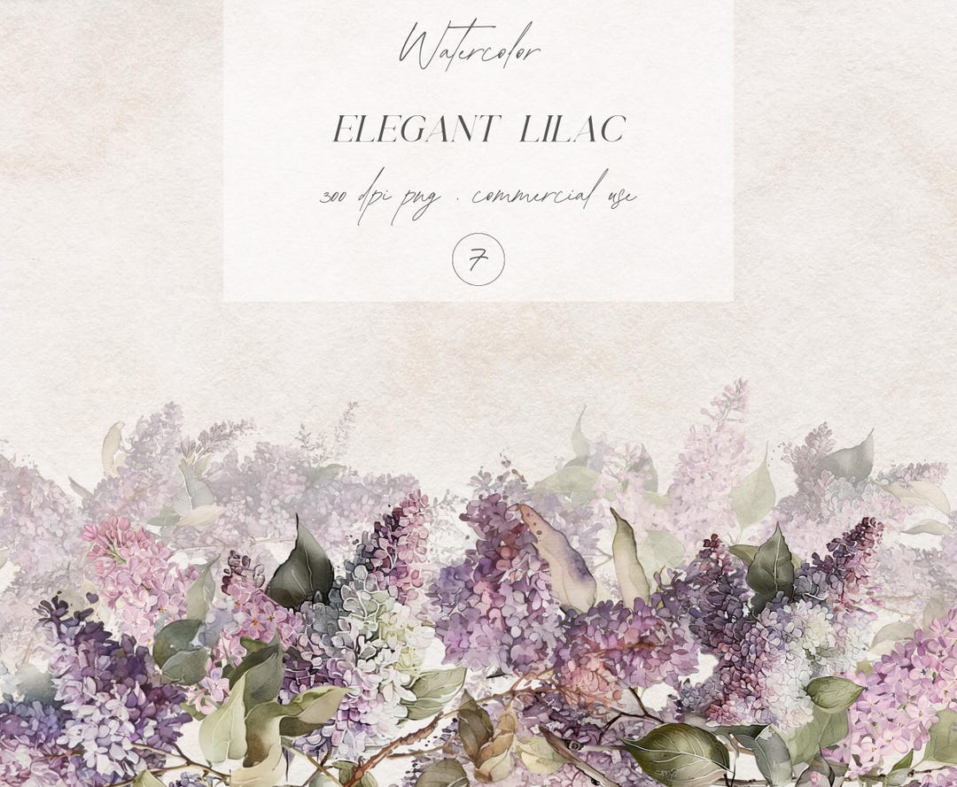 Watercolor Lilac Clipart, Spring Flowers Clipart, Purple Lilac Bouquets ...