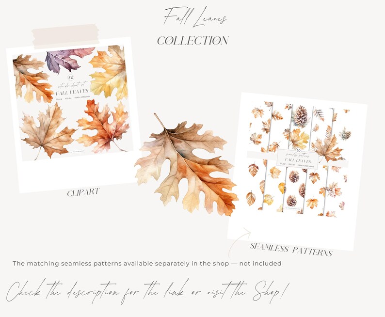 Watercolor Fall Leaves Clipart: Autumn Leaf PNG Bundle (digital ...