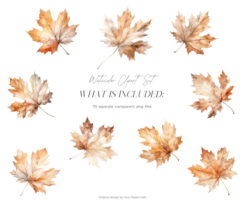 Watercolor Fall Leaves Clipart: Autumn Leaf PNG Bundle (digital ...
