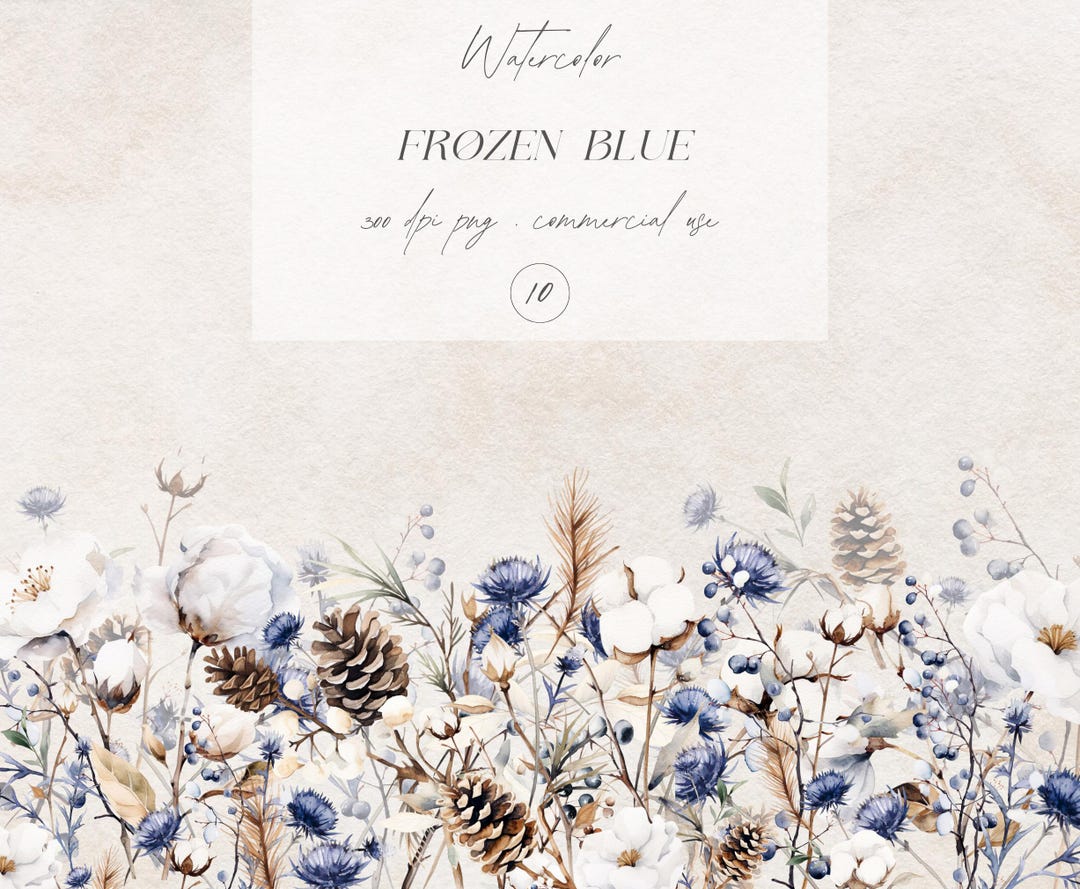 Winter Floral Clipart, Watercolor Winter Berries Clipart, Cotton Flower ...